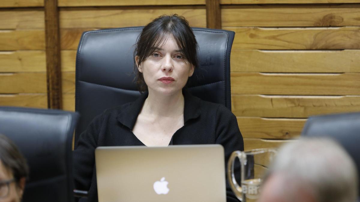 Primarias en Podemos: tres artículos sobre las candidatas a liderar el ...