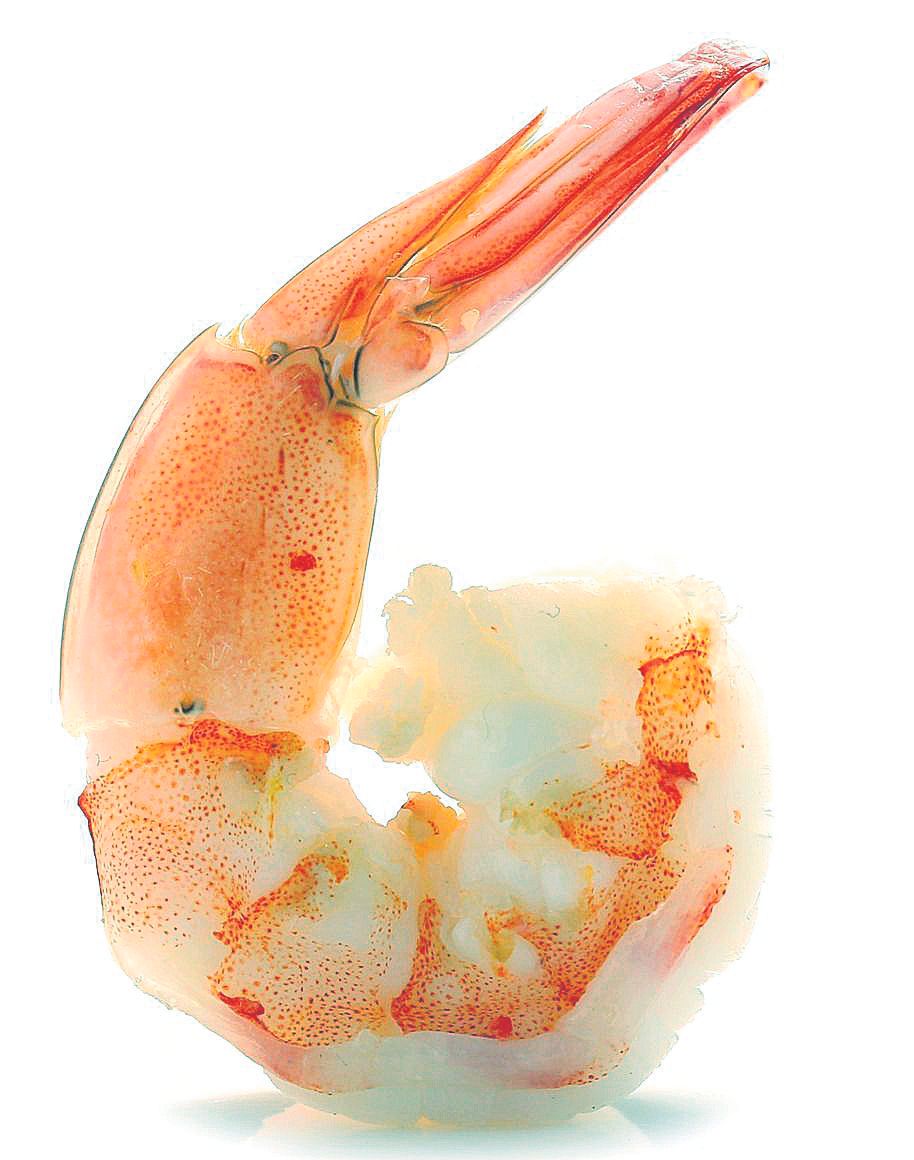 La gamba roja de Dénia, un manjar que ya se consume más en verano