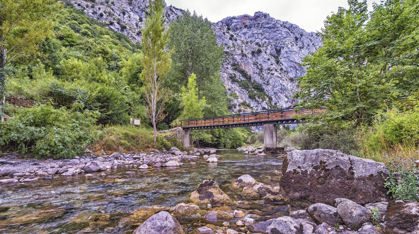 Vivamax porn huh following the same procedure as before,