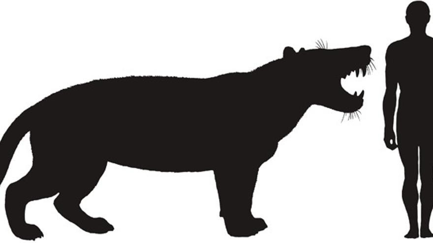 Simbakubwa kutokaafrika, el último depredador gigante descubierto ...