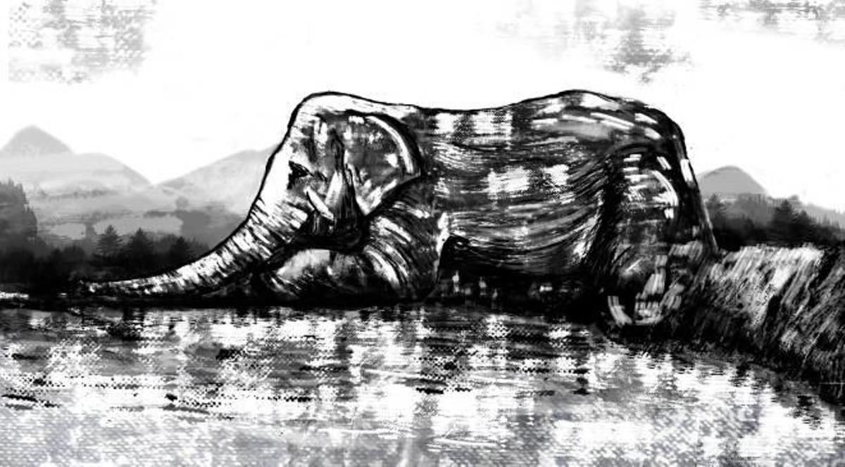¿Sabías que el Montgó parece un elefante? Esta es la imagen que ha ...