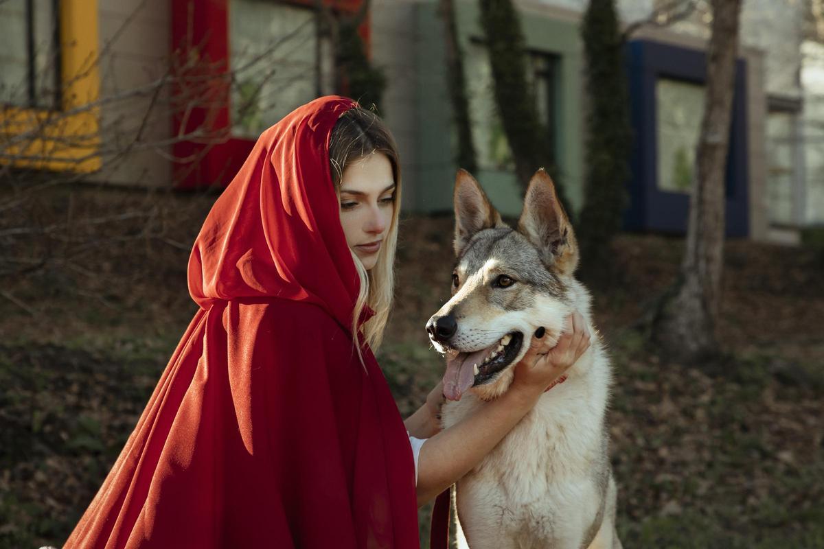 Caperucita busca familia para Aliz, una perra loba rescatada
