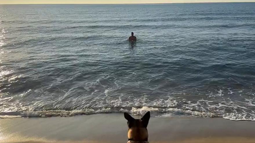 Ferran Torres ya piensa en la Supercopa... ¡Bañandose en la playa en el ...