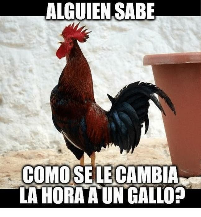 Los mejores memes del cambio de hora
