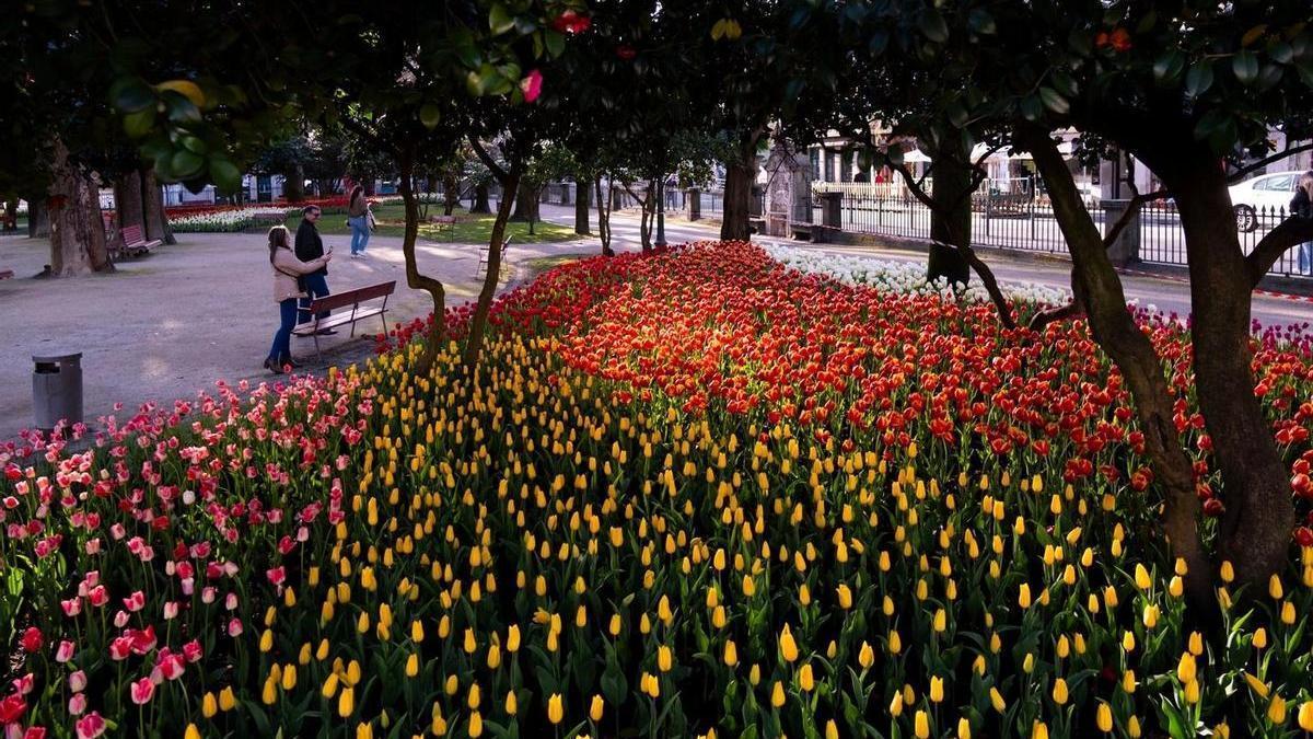La ruta de 100.000 tulipanes de Oporto que anuncia la primavera en Portugal