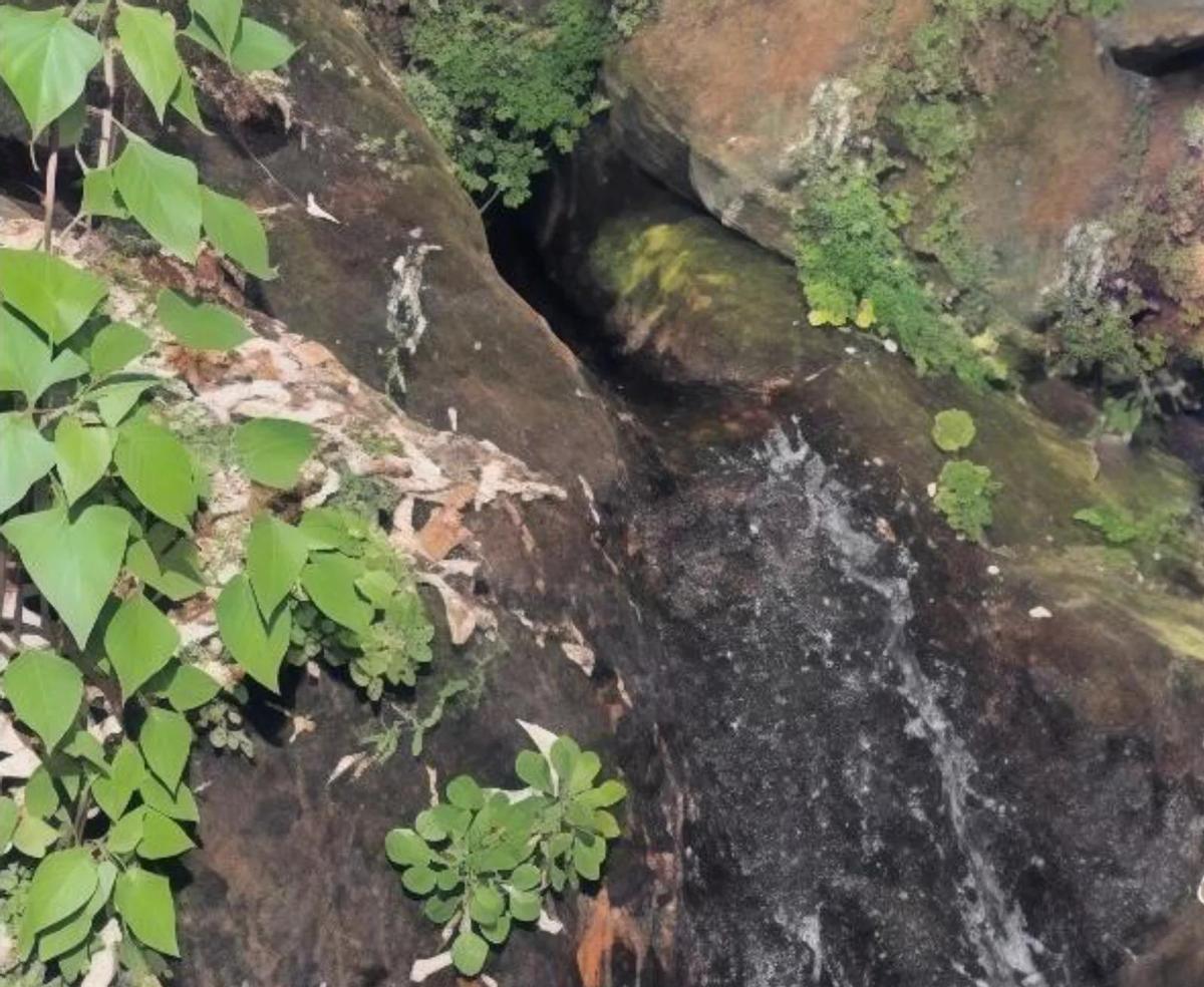 El agua mineral con poderes curativos que mana en el Parque Rural del Nublo