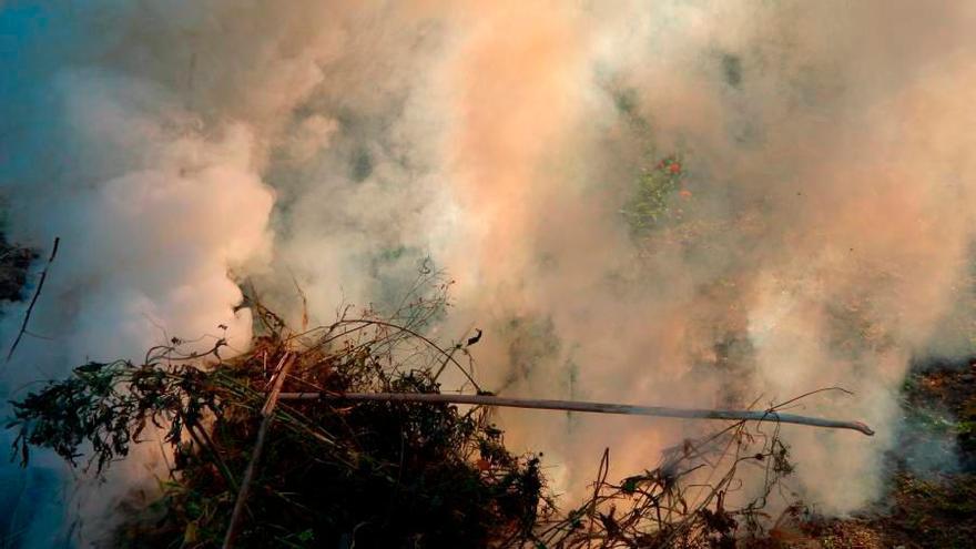 Sorprendido 'in fraganti' un presunto incendiario en el municipio ...