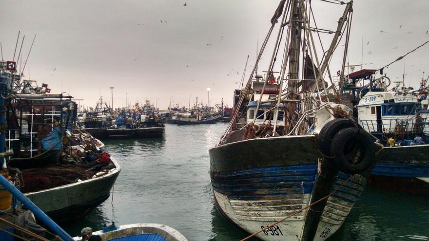 Paso al frente del Polisario ante el “impasse” con Rabat - Faro de Vigo