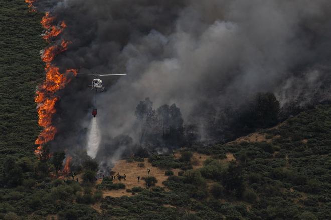 Carlos Gil, fotógrafo de El Periódico Extremadura, ganador del premio ...