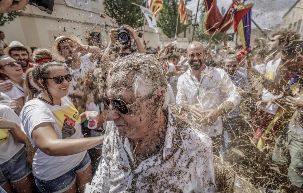 Fiesta del Cosso de Felanitx - Diario de Mallorca