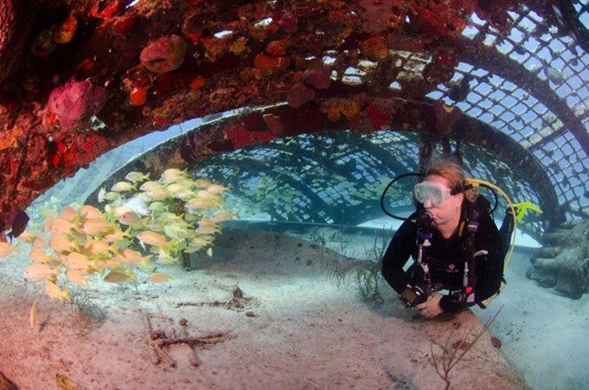 El Caribe desde la profundidad de sus aguas - Viajar