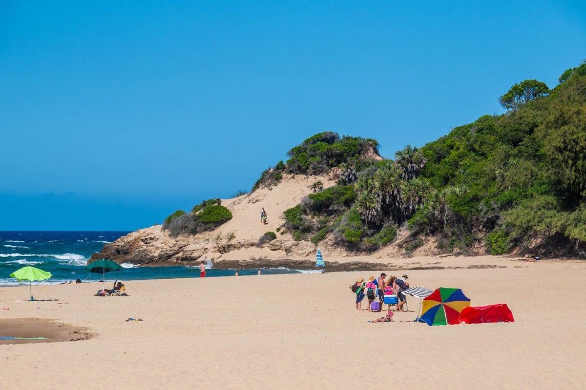 ¿Te gusta la idea de un safari oceánico? En Tofo lo tienes a tu alcance ...