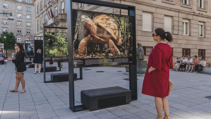 Los retratos de animales de Tim Flach llegan a Ourense