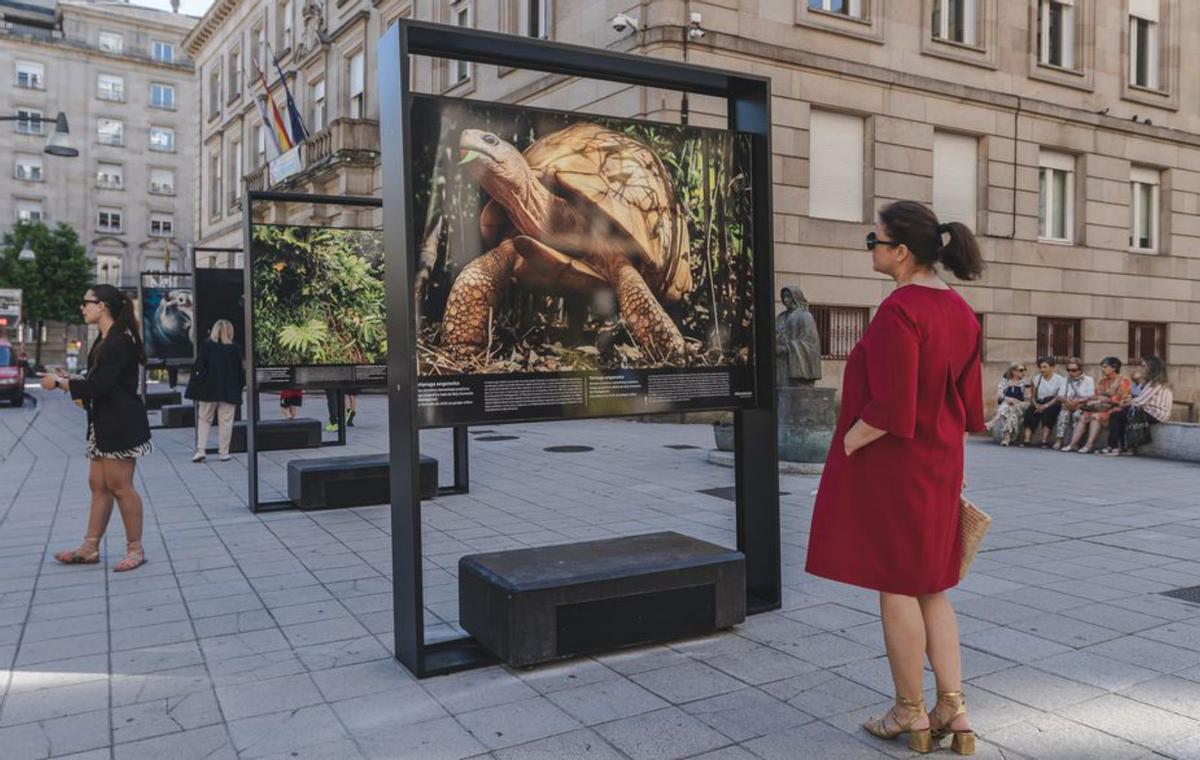 Los retratos de animales de Tim Flach llegan a Ourense
