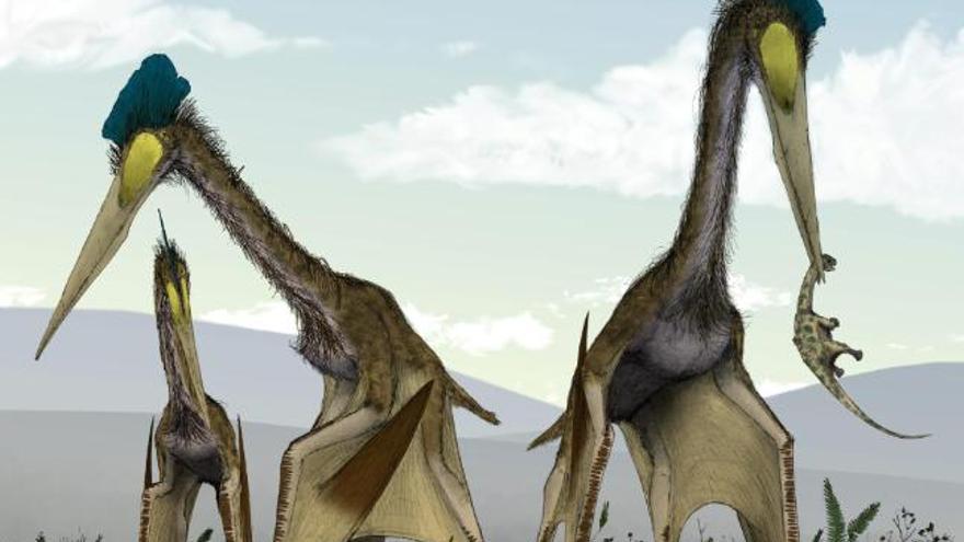 Los pterosaurios gigantes voladores preferían tener los pies en la tierra