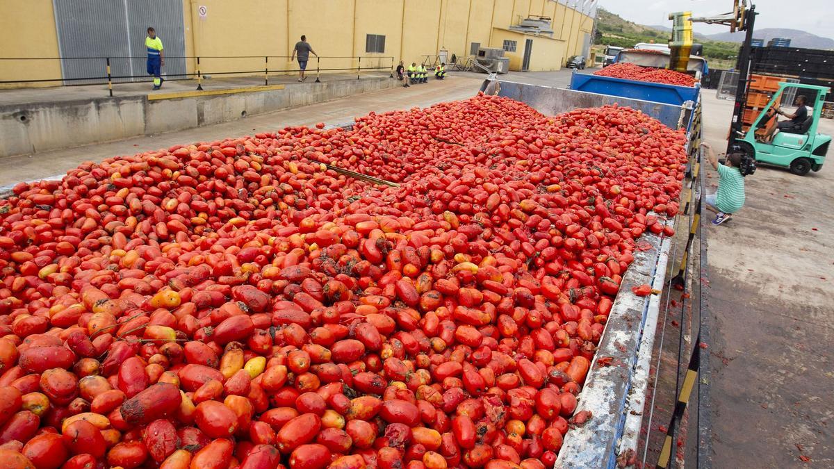 La depurada técnica de un trabajador del campo a la hora de cargar un ...