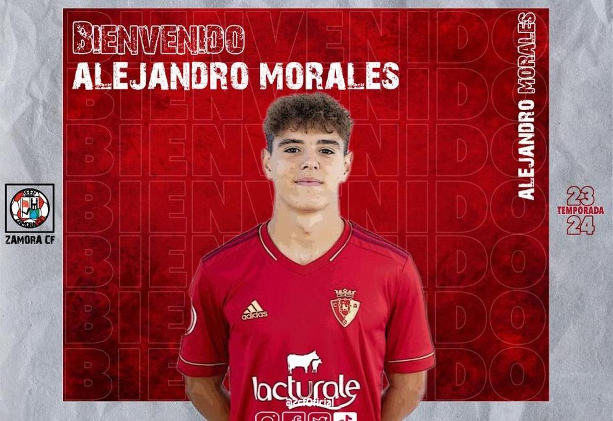 Alejandro Morales, nuevo fichaje del Zamora CF - La opinión de Zamora