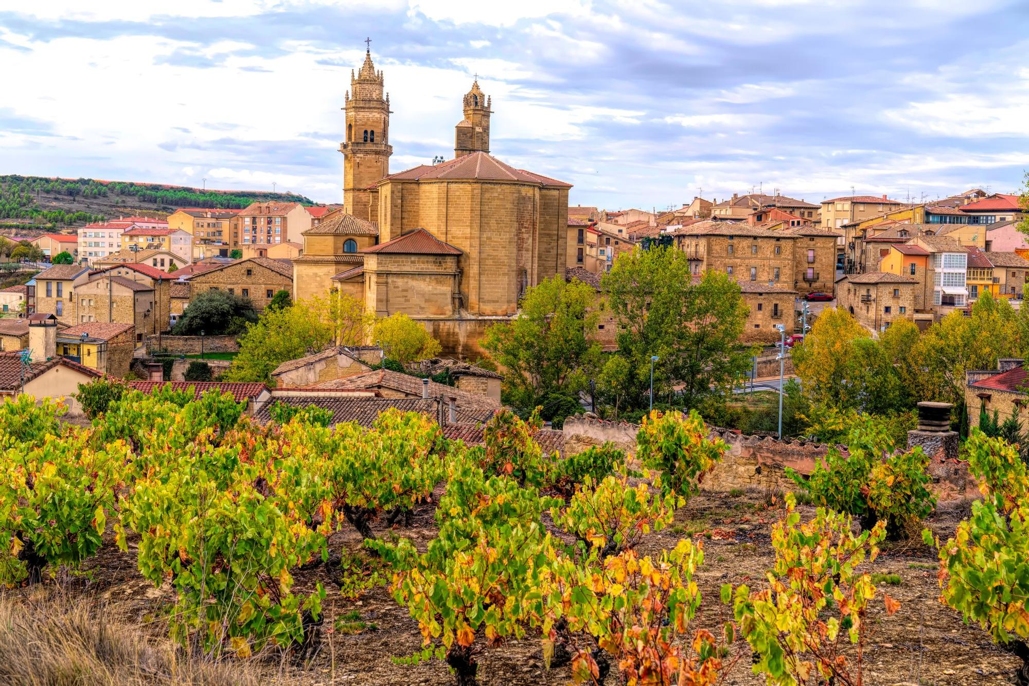 RUTA DEL VINO | La ruta en la que degustar los mejores vinos de España