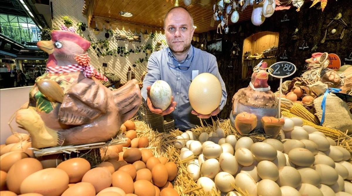 ¿Por que los huevos de los animales varían de forma?