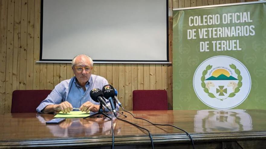 Los veterinarios de Teruel ven insuficiente el control del virus que ...