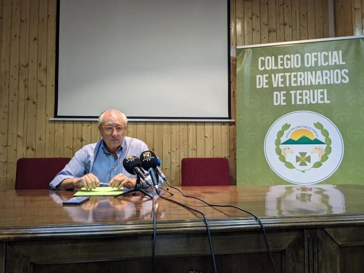 Los veterinarios de Teruel ven insuficiente el control del virus que ...