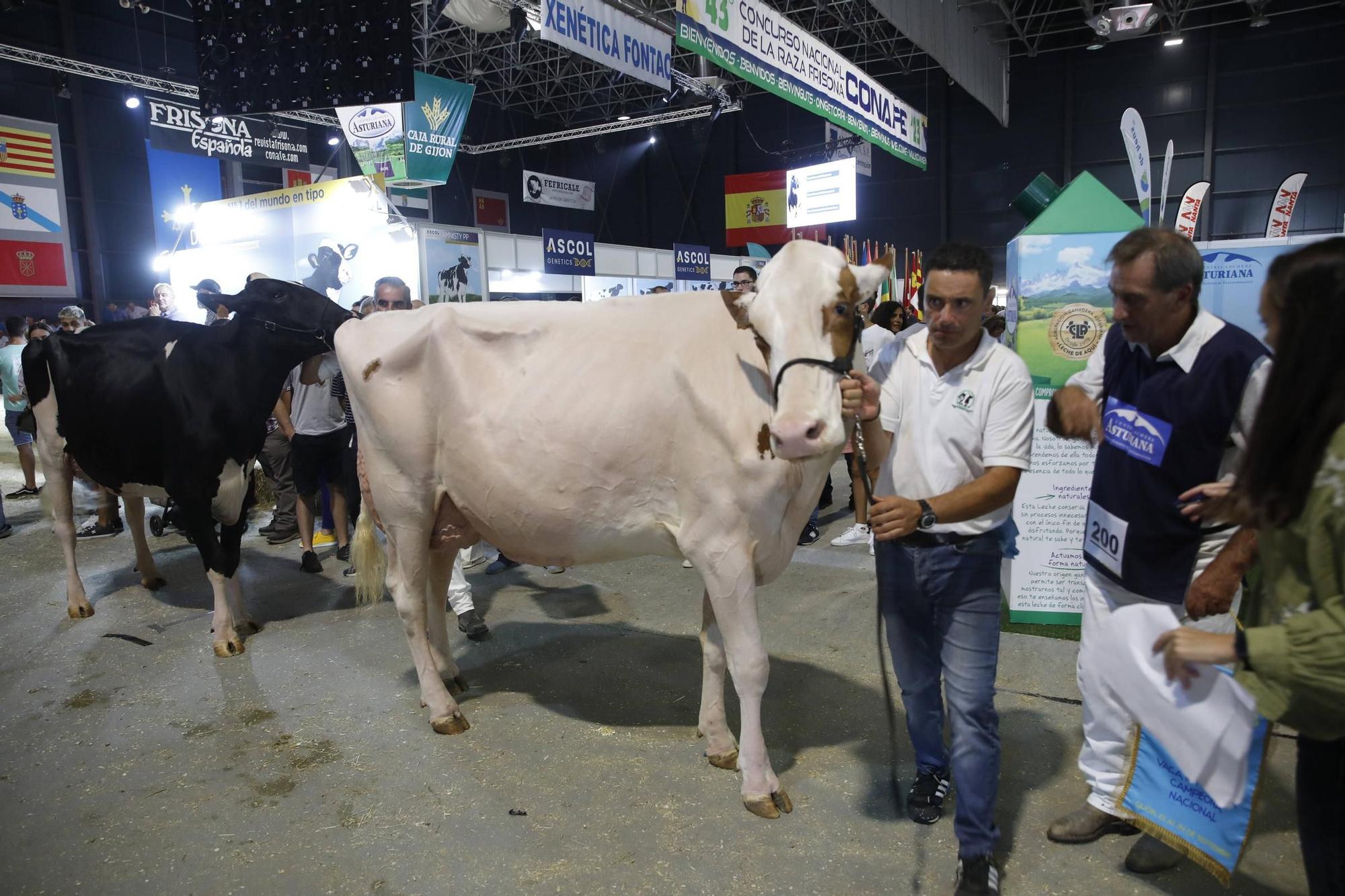 En imágenes: Así ha sido la feria de Agropec de Gijón