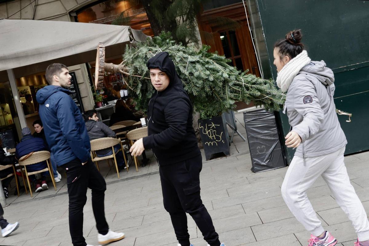 Invierno en Barcelona | FOTOS