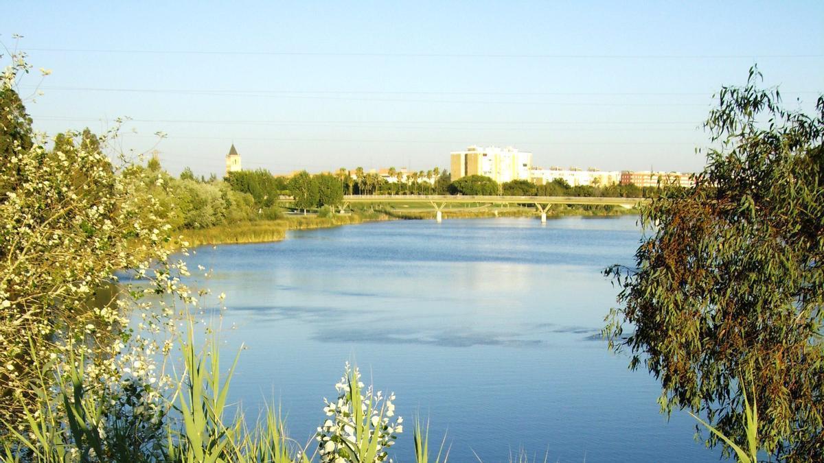 El parque de Sevilla que nació como un vivero para la Expo del 92 y que ...