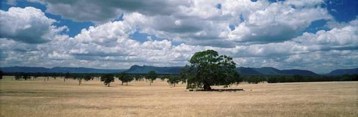 Planicies del mundo - Viajar