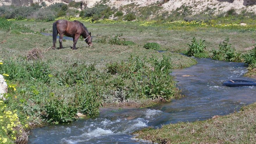 La declaración de humedal del río Seco deja un kilómetro de cauce fuera ...