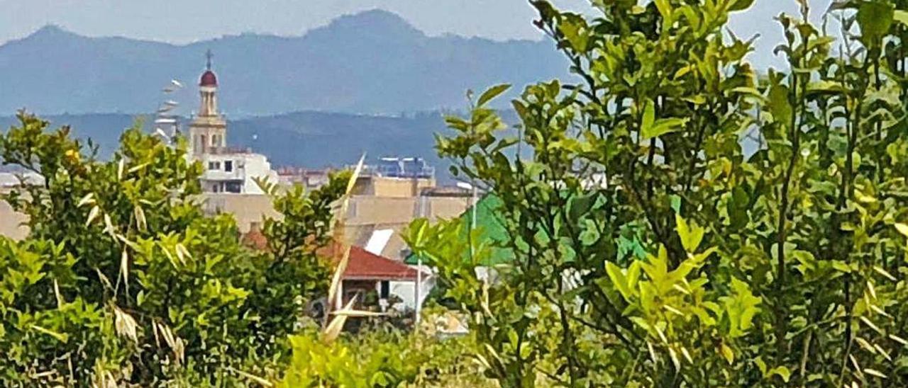 La Pobla Llarga perdonará el IBI a quien vuelva a cultivar tierras ...