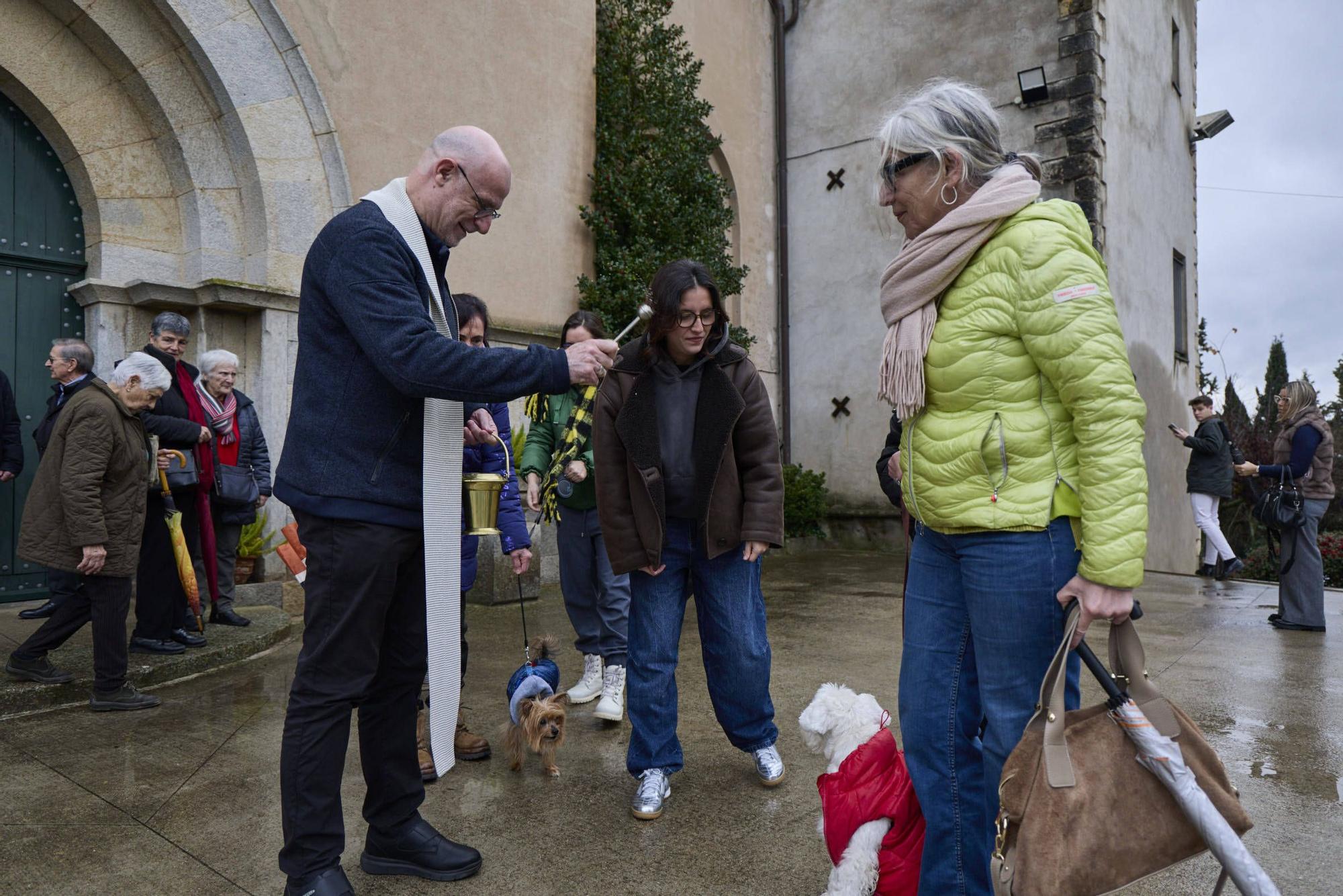 Les imatges de la celebració de Sant Antoni Abat a Girona