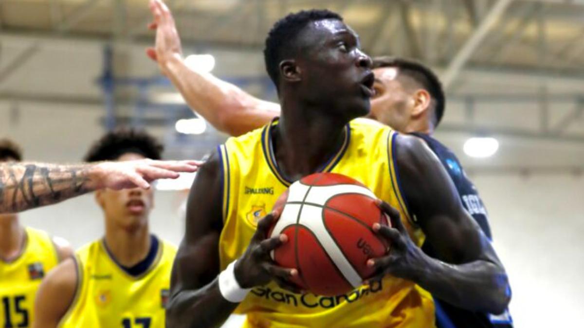 DREAMLAND GRAN CANARIA | Massamba Diop participará en el adidas Eurocamp de Treviso