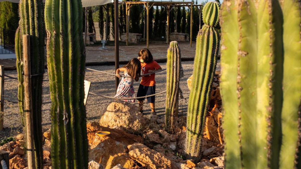 El Botánico, escenario del Ibiza Ecologic Festival este fin de semana ...