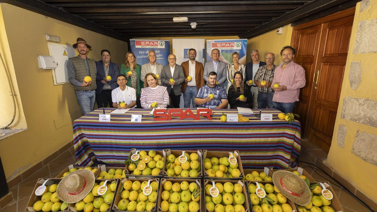 AGRICULTURA GRAN CANARIA: Del campo a la mesa: Spar comercializa 250. ...