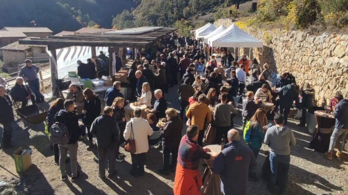 Trumfos, artesans i el Salí de Cambrils atreuen visitants - Regió7