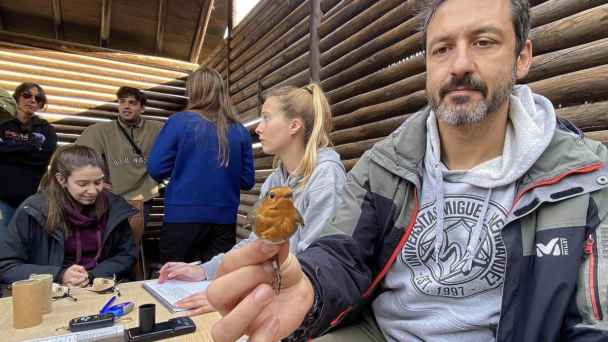 AVES EN EL CLOT DE ELCHE | Un chequeo que da vida en el Clot de Galvany