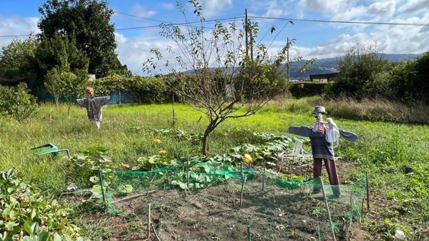 Los vigilantes de las “leiras”