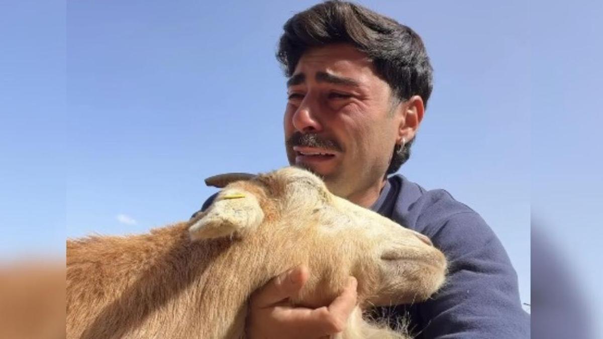 Mascotas: Muere Rubia, la cabra inseparable del gallego de Bueu Hugo ...