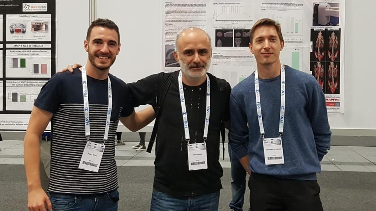 Investigadores UMU examinan los mecanismos que gestiona nuestro cerebro ...