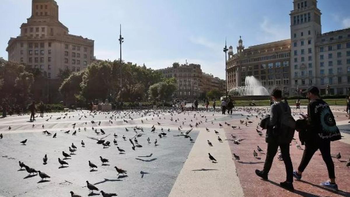 MOSSOS | Detinguts dos joves acusats d'apunyalar un menor a la plaça ... MOSSOS | Detinguts dos joves acusats d'apunyalar un menor a la plaça ...