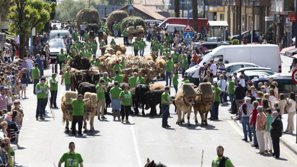 La feria de San Isidro en Llanera, una cita clave - La Nueva España