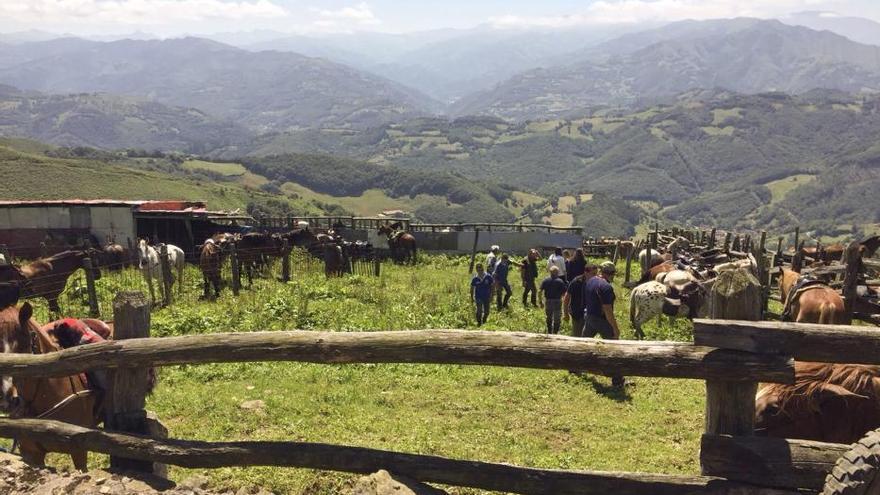Casi 200 caballos se dan cita en la fiesta vaquera del monte Llosorio