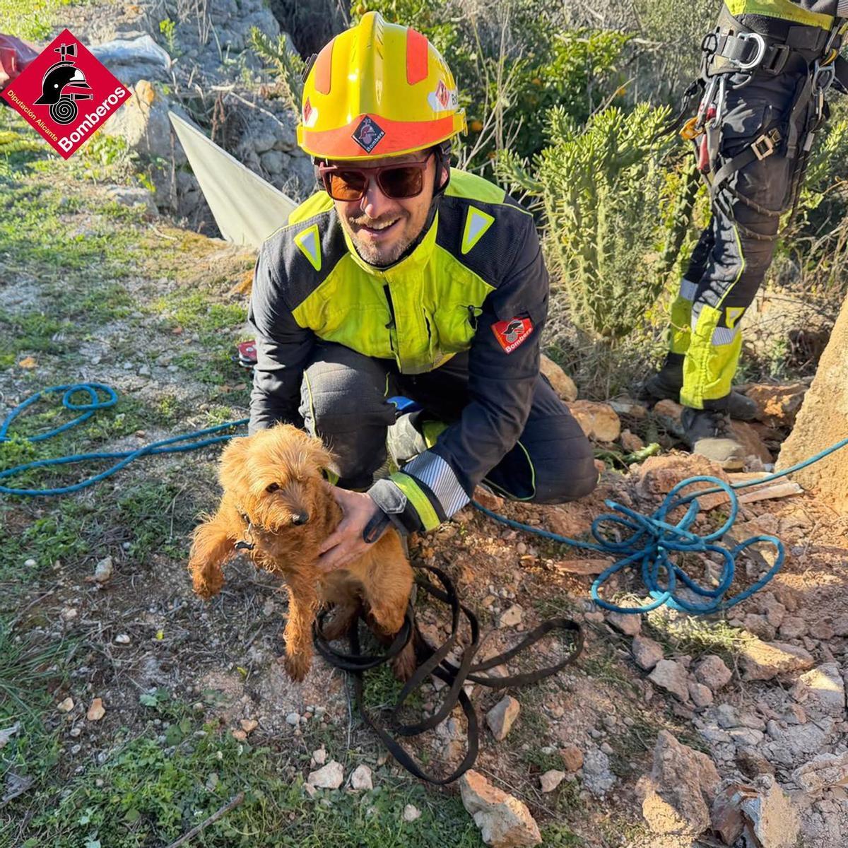 OTRO FELIZ RESCATE CANINO | Salvan a un perro que cayó en un profundo ...