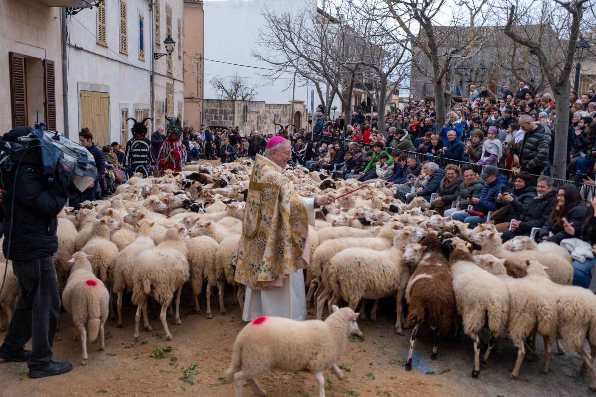So eindrucksvoll waren die Tiersegnungen zu Sant Antoni 2026 in Muro ...