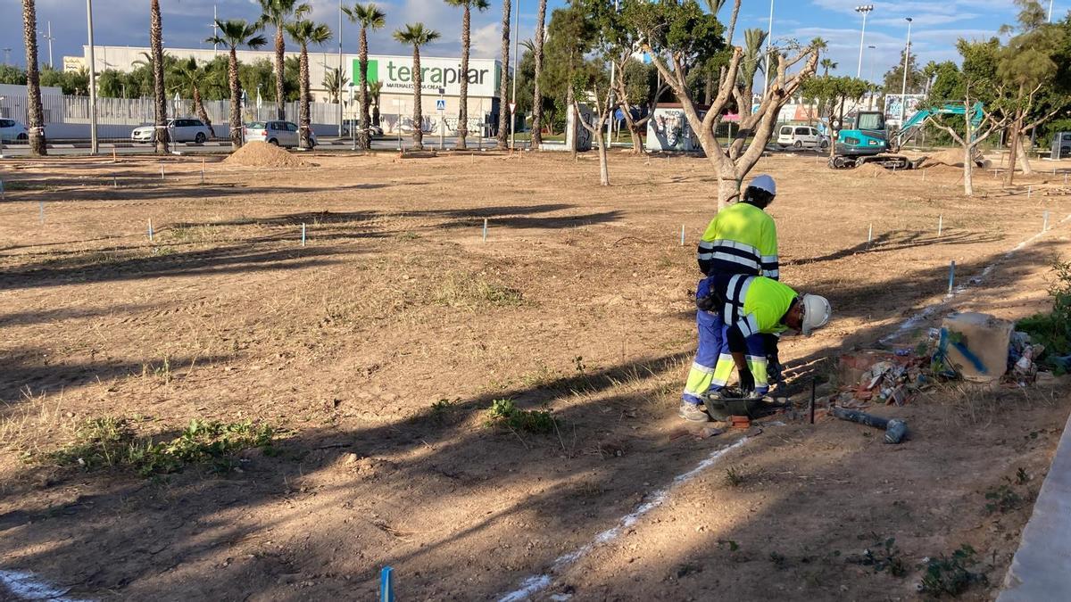 Agamed inicia la construcción del tercer parque inundable de Torrevieja ...