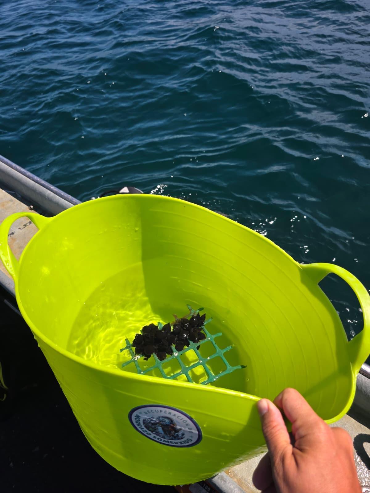 El proyecto "En busca de redes fantasma" del Centro de Buceo Rías ...