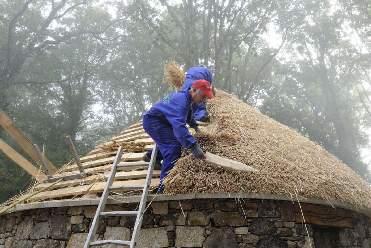 Un capricho de alpendre