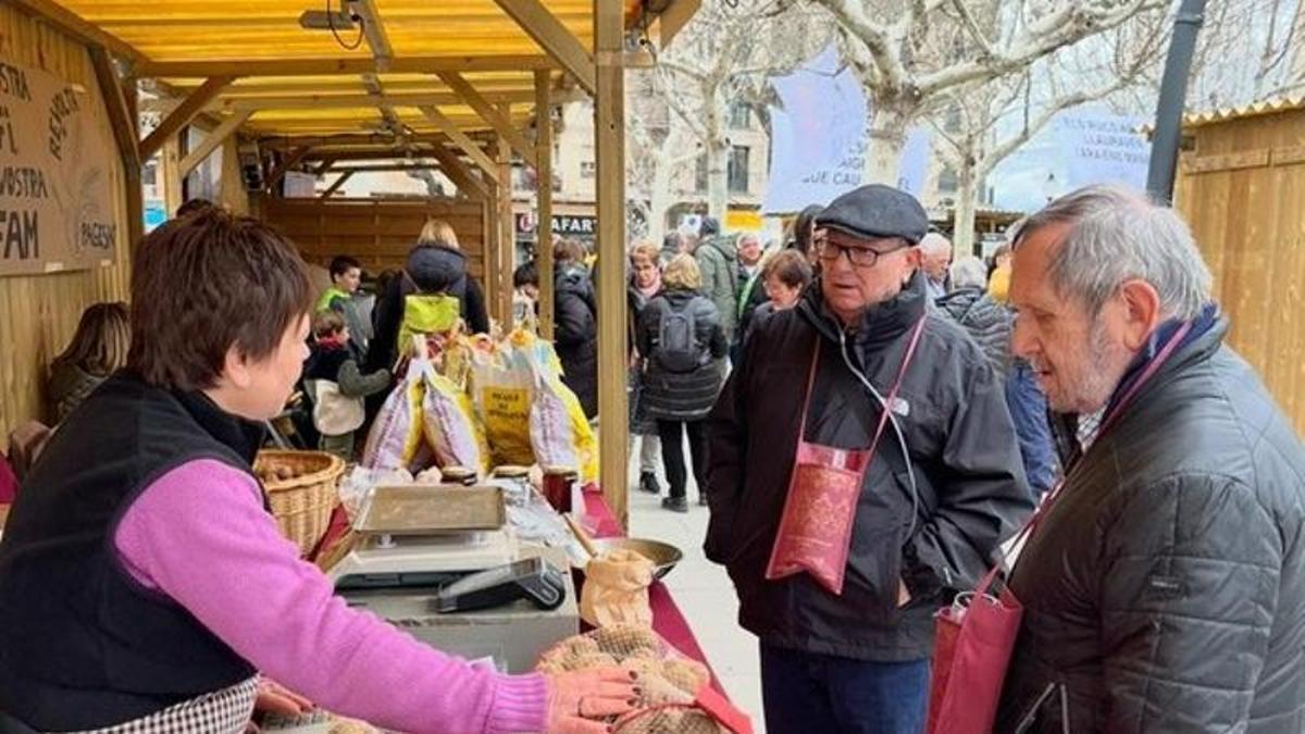 Festa del Trumfo i la Tòfona de Catalunya: récord d'expositors