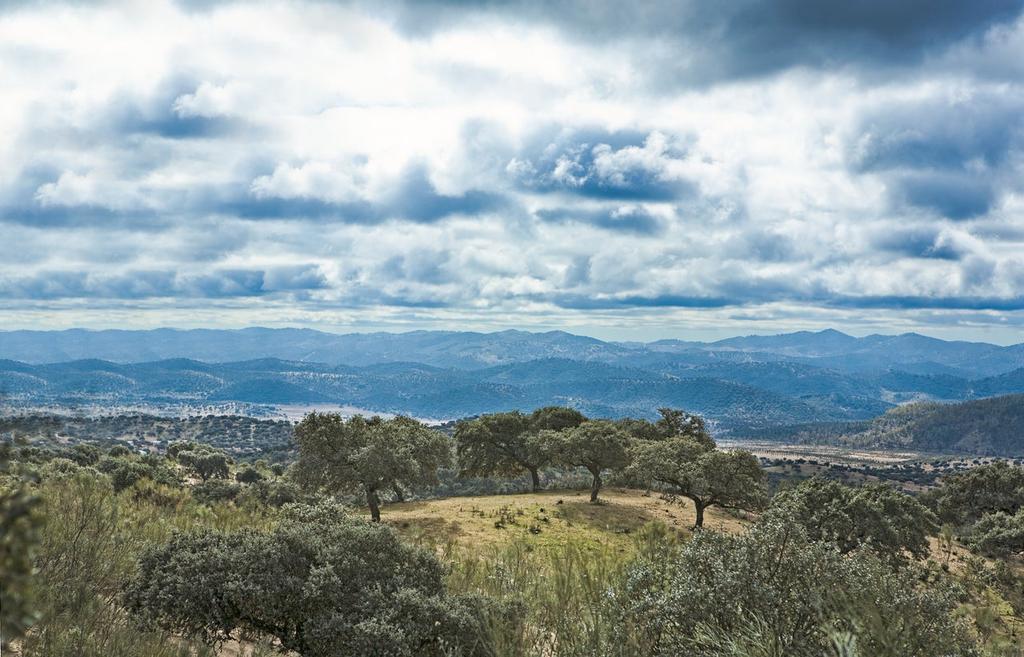 La Jayona: de Badajoz al centro de la tierra - Viajar